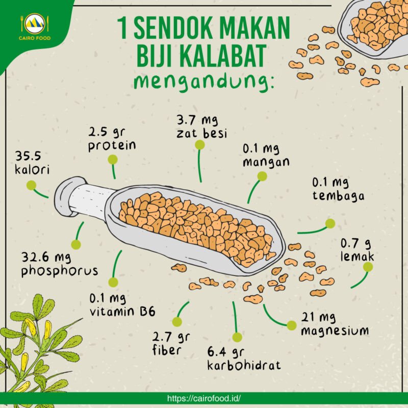 Manfaat & Efek Samping Herbal Halba/Kelabat - Cairo Food