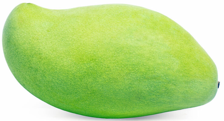 18 Jenis Varietas Buah Mangga Beserta Keunggulannya