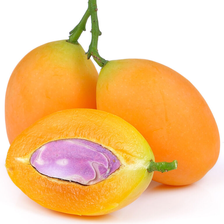 18 Jenis Varietas Buah Mangga Beserta Keunggulannya