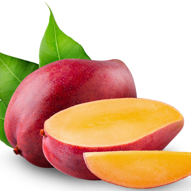 18 Jenis Varietas Buah Mangga Beserta Keunggulannya