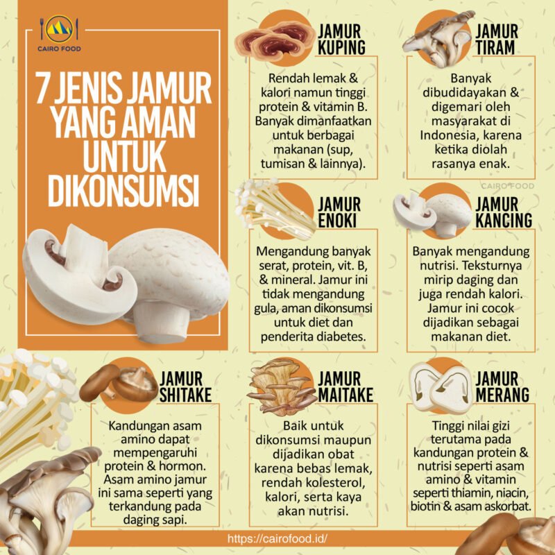 7 Jenis Jamur Yang Aman Untuk DiKonsumsi - Cairo Food