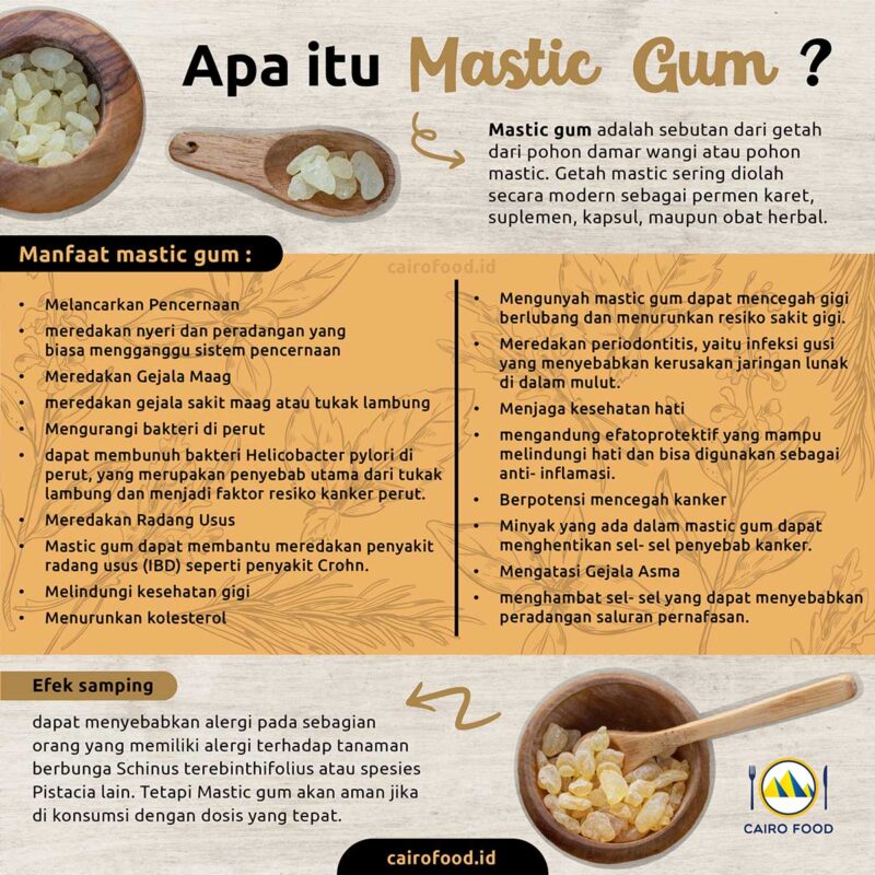 10 Manfaat Luar Biasa Dari Mastic Gum - Cairo Food