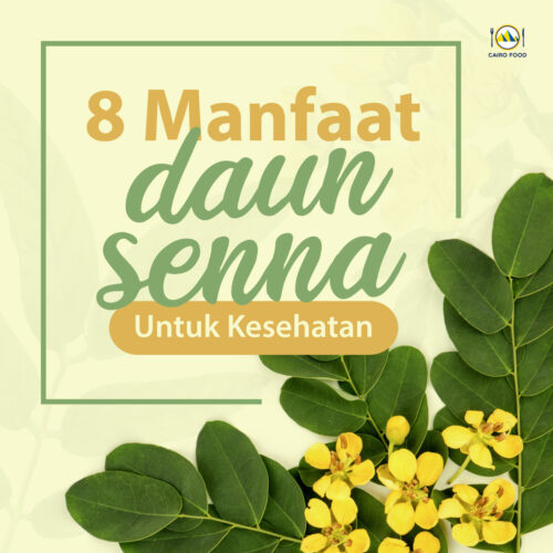 8 Manfaat Daun Senna Untuk Kesehatan - Cairo Food