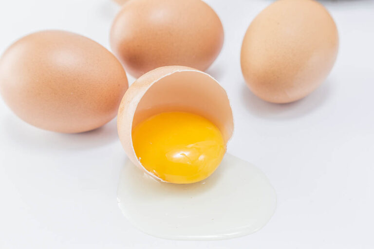 Mengenal 6 Bagian Telur Lebih Dalam - Cairo Food