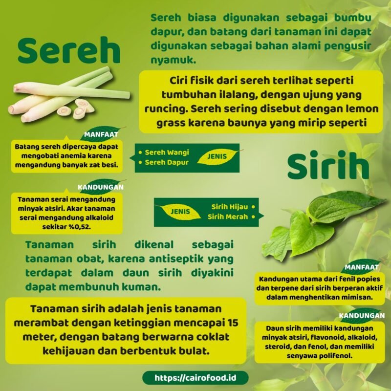 4 Perbedaan Sereh Dengan Sirih - Cairo Food