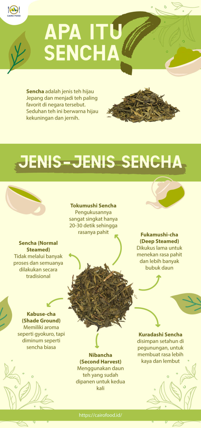 Apa Itu Sencha, Jenis Dan Manfaatnya Bagi Kesehatan