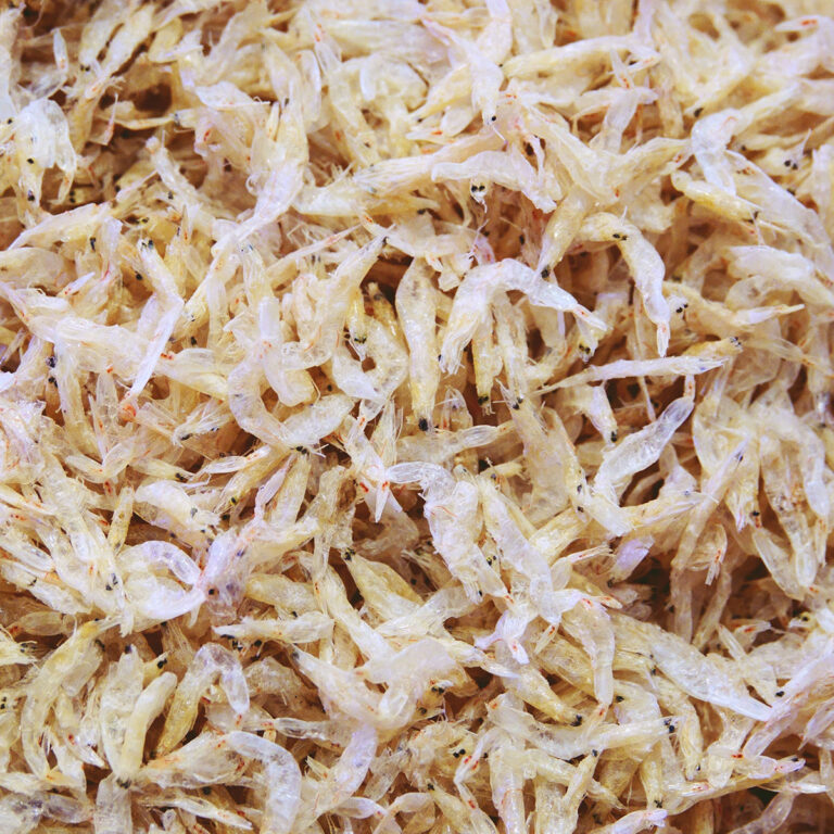 15 Jenis Ikan Asin Favorit Orang Indonesia - Cairo Food