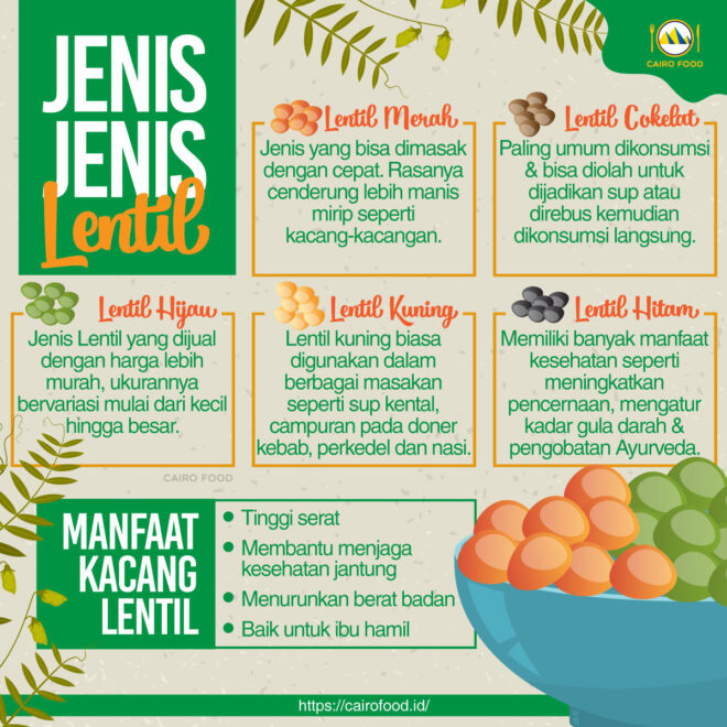 Kupas Tuntas Mengenai Lentil Serta Manfaatnya Bagi Tubuh!