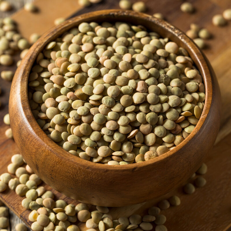 Kupas Tuntas Mengenai Lentil Serta Manfaatnya Bagi Tubuh!