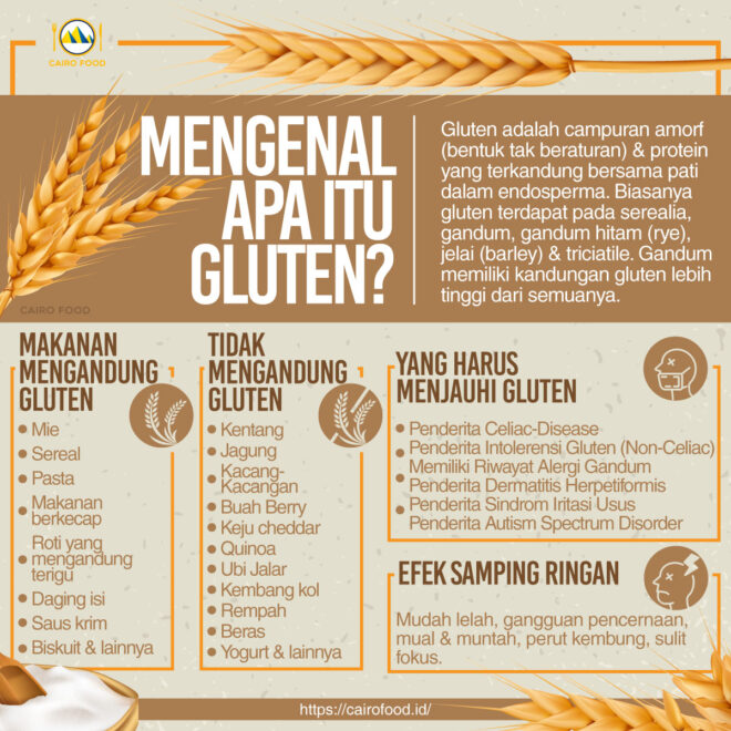 Mengenal Apa Itu Gluten? - Cairo Food