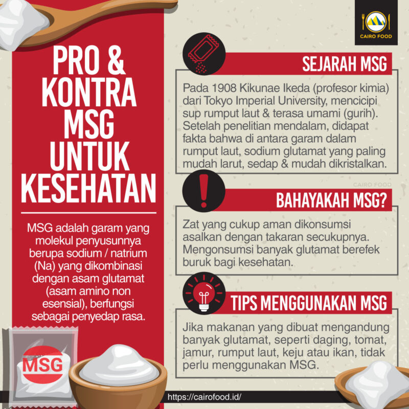 Pro Dan Kontra MSG Untuk Kesehatan - Cairo Food