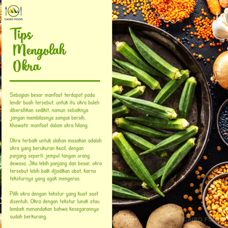 Okra, Sayur Kaya Serat Dengan Sederet Manfaat - Cairo Food